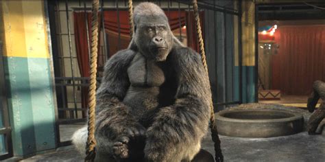 Disney Plus Movie The One And Only Ivan Gets Mixed First Reviews