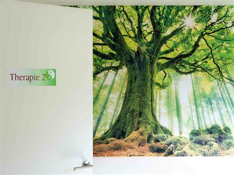 Dr Helga Barilich Ärztin Für Allgemeinmedizin Und Tcm Praxis Für Tcm Und Allgemeinmedizin