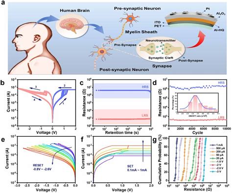 A Schematic Illustration Of A Neuro Synapse In The Human Brain And Download Scientific