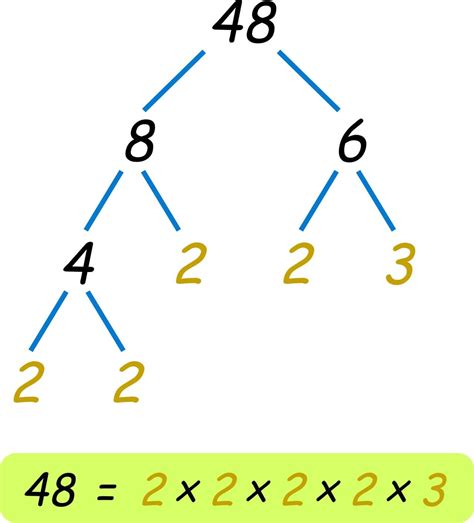 Factor Tree For 25