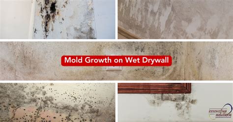 Does Wet Drywall Always Need To Be Replaced 2026