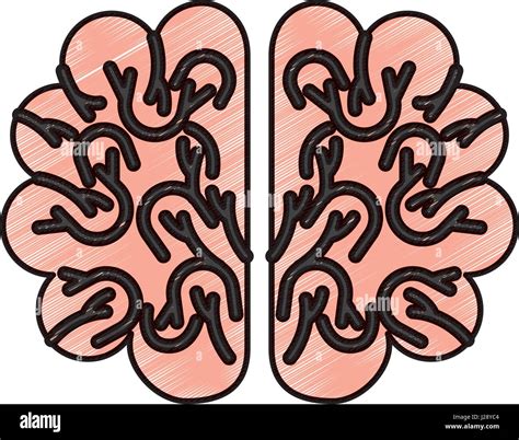 Storm Brain Isolated Icon Stock Vector Image And Art Alamy