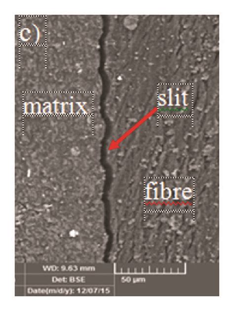 Sem Image Of Matrix Fiber Interface A No Immersion B 1 Week Download Scientific Diagram