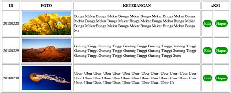 Tipstrik79 Update Dan Hapus Fotogambar Pada Database Mysql Dengan Program Php
