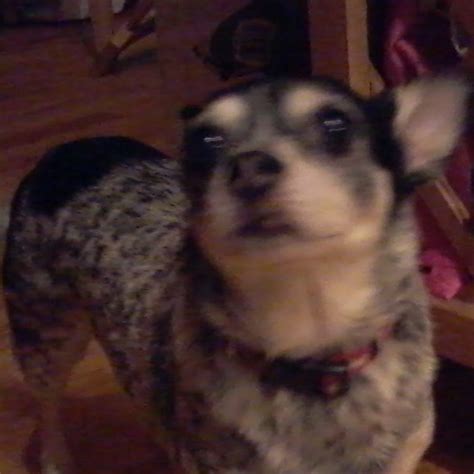 Sandy Trageser Youtube