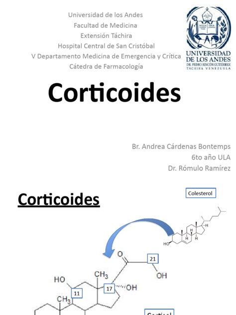 Rticoides 6to Año Pdf Farmacología Corticosteroides