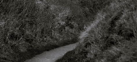 Nu Gît Le Cœur Dans Lobscurité De Maxime Contrepois