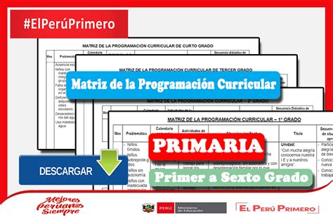 Matriz De La Programación Curricular Primaria 1° A 6° Tus Materiales Docente