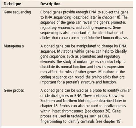 Genetics Chapter 14 Flashcards Quizlet