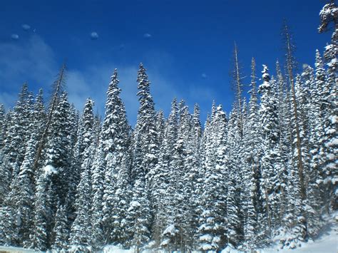 Cimg3291 Loris Rubini Flickr