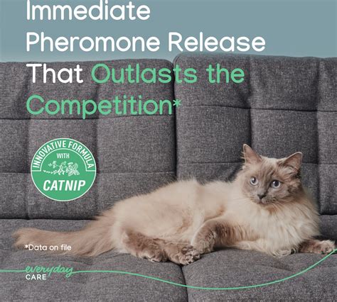 Virbac Zenifel Gel Calming Diffuser For Cats 81 Oz Jar