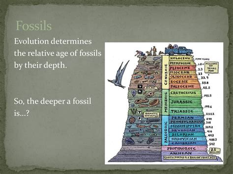 Evidence For Evolution Ppt Download