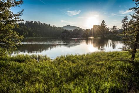 커스터 주립 공원 이미지 스톡 사진 및 일러스트 Istock