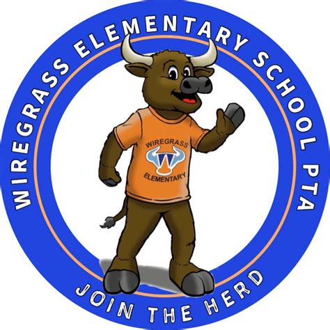 Wiregrass Elementary School Pta Wesley Chapel Fl