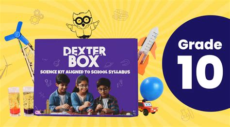 Dexter Box 10 Ie Skool