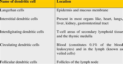 Classification Of Dendritic Cells Download Table