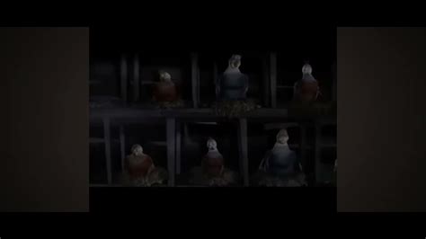The Barnyard Coyotes Attack Youtube