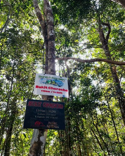 Bukit Choroco 2025 All You Need To Know Before You Go With Photos Tripadvisor