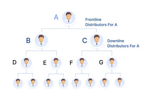 Binary Mlm Plan Wp Mlm