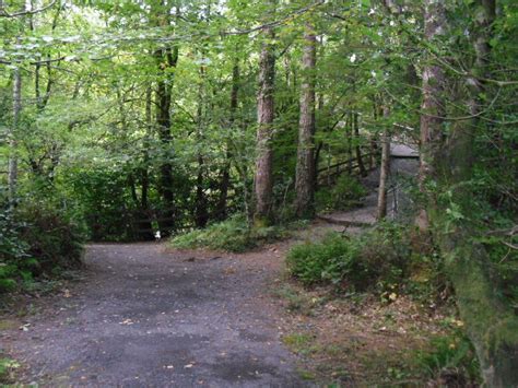 Elective Surgery Journey For Magnificence