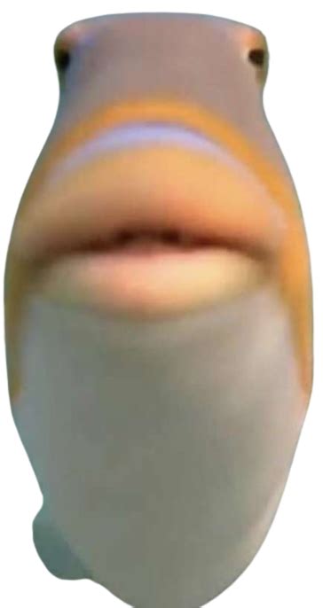 Yoink Sound Effect By Prestosoundz Sound Effect Meme Button Tuna