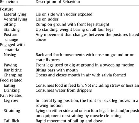 Ethogram Of Sow Behaviour Observed 18 H Prior To Farrowing And During Download Scientific
