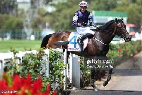 53 Tom Manion Photos And High Res Pictures Getty Images