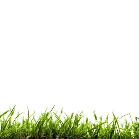 Premium Ai Image Green Grass White Background