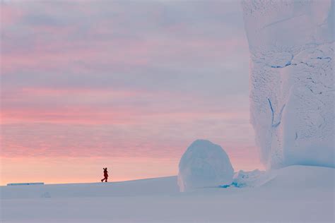 Penguin A Story Of Survival Stefan Christmann
