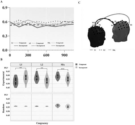 Interbrain Theta Synchronization And Coupled Electrode Pairs During The Download Scientific