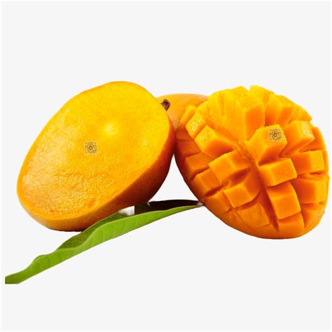 Sale Online Devgad Alphonso Mangoes At Your Doorstep Hapoos