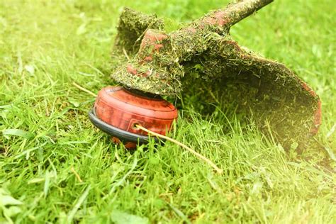 How To Use A Weed Wacker To Cut Weeds At Cassandra Wasinger Blog