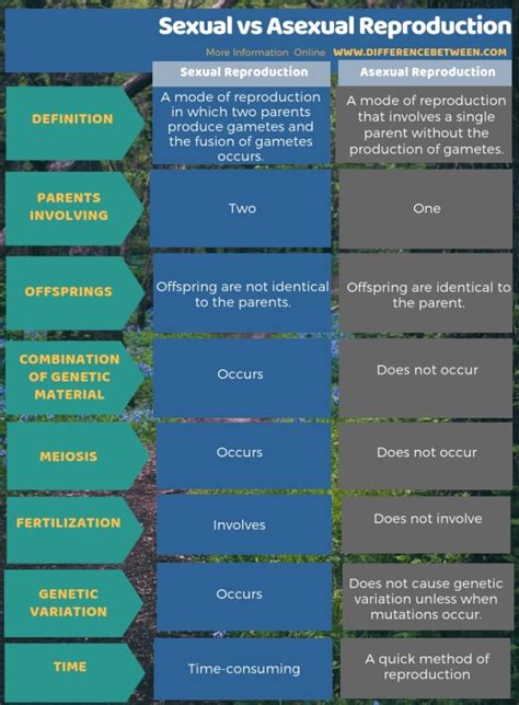 Difference Between Sexual And Asexual Reproduction Compare The