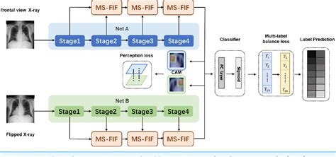Figure 3 From Ms Anet Deep Learning For Automated Multi Label Thoracic Disease Detection And