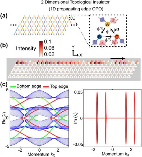 Optical Selection Rules In Topological Insulators At Kayla Omay Blog