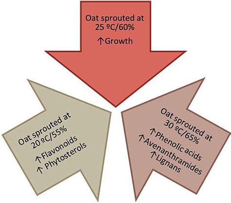 Oat Sprout Stressors Surface Your Real Self