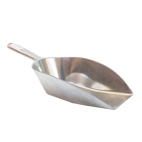 Chip Scoop Large Agasons