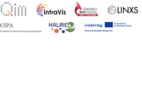 Workshop Human Perception And Advanced Visualization Of 3d Medical Imaging Data Qim