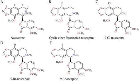 Figure 1 From Noscapine And Apoptosis In Breast And Other Cancers