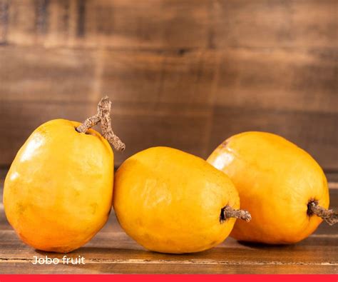 Flavors Of Puerto Rico Exploring Locally Grown Fruits Chefs Pencil
