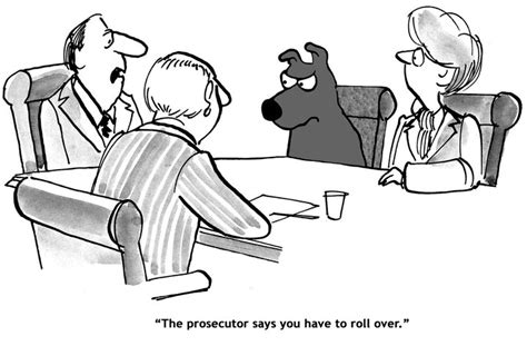 Civics Law Making Jokes
