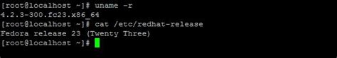 How To Upgrade From Fedora To Fedora Unixmen