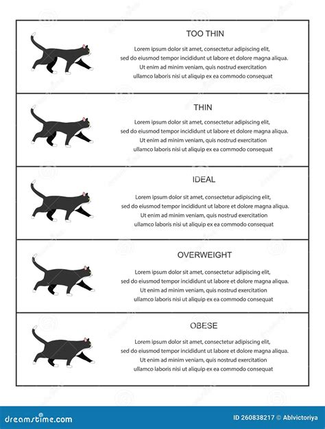 Cat Weight Chart Infographic Table Kitties Profiles With Normal And