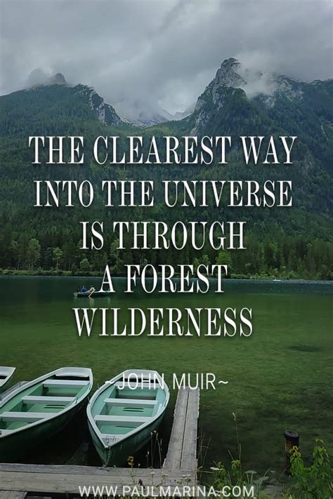 Wilderness John Muir Quotes