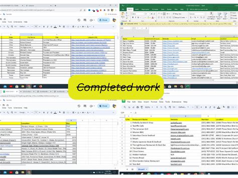 Professional Data Entry Virtual Assistant Web Research Copy Paste