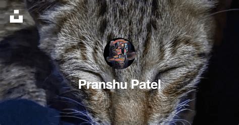 Pranshu Patel Pranshu05 Unsplash Photo Community