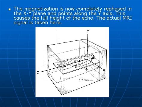 Pulse Sequences Categorization N Spin Echo Conventional Spin