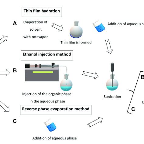 Schematic Representation Of Snp Synthesis Through The A Download