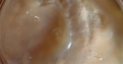 Booch Album On Imgur