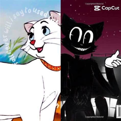Cartoon Cat X Duchess Youtube